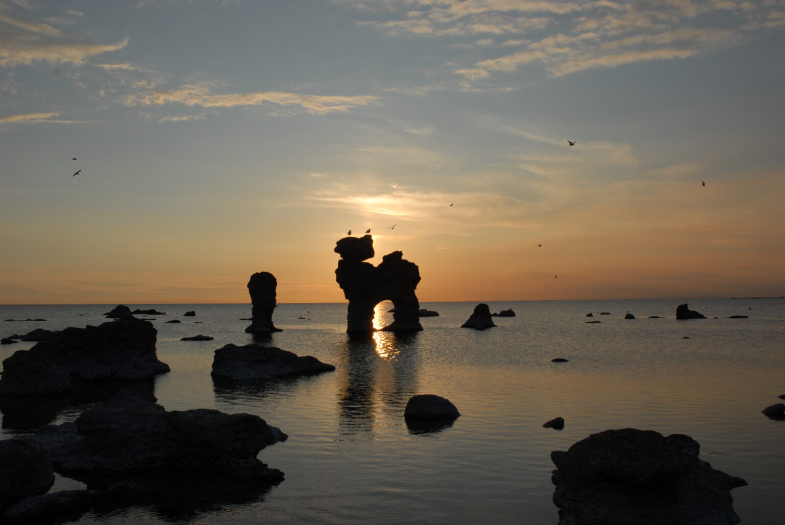 Sea, soil, soul – beauty of the northern spring - Gotlands officiella ...