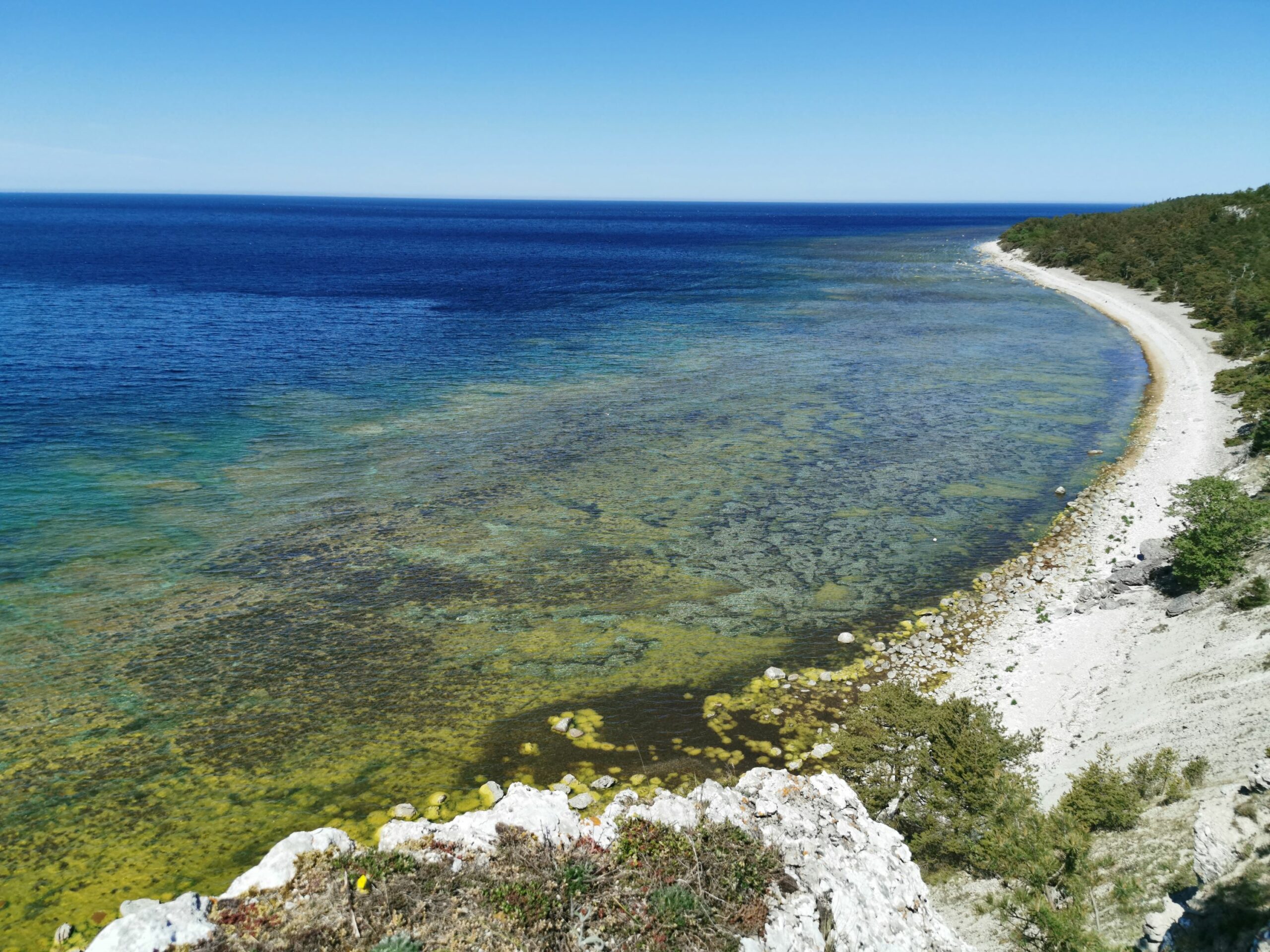 Björkume - Gotlands officiella inspirationssida